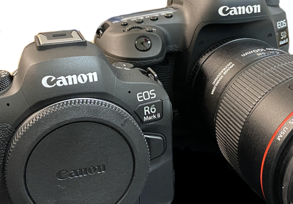 EOS R8をEOS RP、EOS R6 MkII、EOS Rと比較してみた!!Larikanon